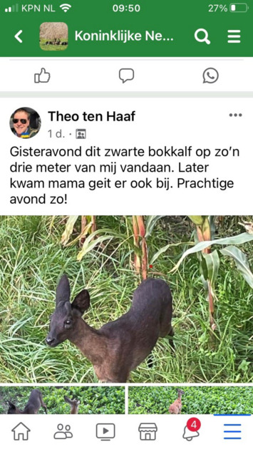 Iedereen doet het, zelfs de KNJV-voorzitter…