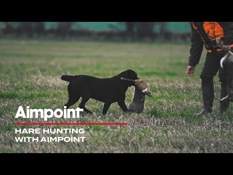Hare Hunting With Aimpoint | De Jacht