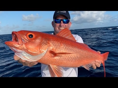 Crossing The Atlantic Ocean, Florida To The Bahamas {catch Clean Cook ...