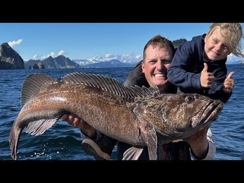 Sea Dragon! Most Ruthless Fish In The Sea!!! {catch Clean Cook} Ling Cod