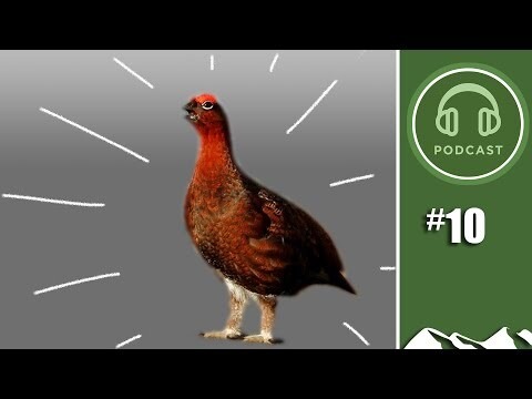 2019 Grouse Prospects - Fieldsportschannel Podcast Episode 10