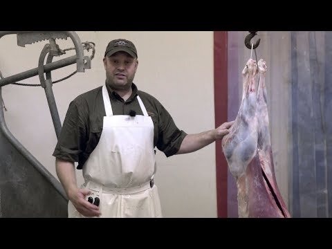 Top Tips And Step-by-step Instructions From Master Butcher On Skinning ...