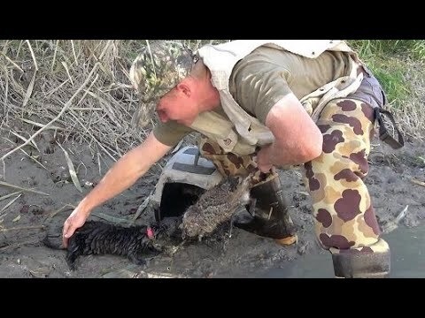 Muskrat Hunting With Young Mink | De Jacht