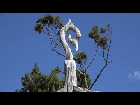 Josh James - Kiwi Bushman | Hunting.gg