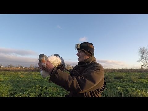 The New Adventures Of A Pop-up Shooting Hide (jagen - 2 In 1).